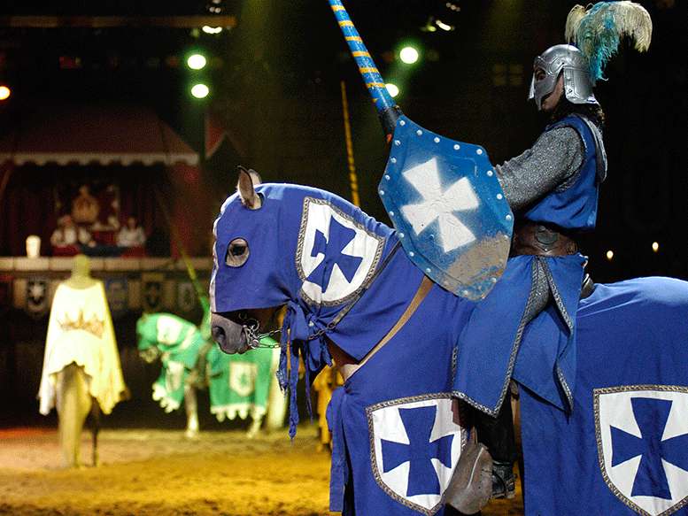 Show Medieval Castillo San Miguel Tenerife | Excursiones Tenerife