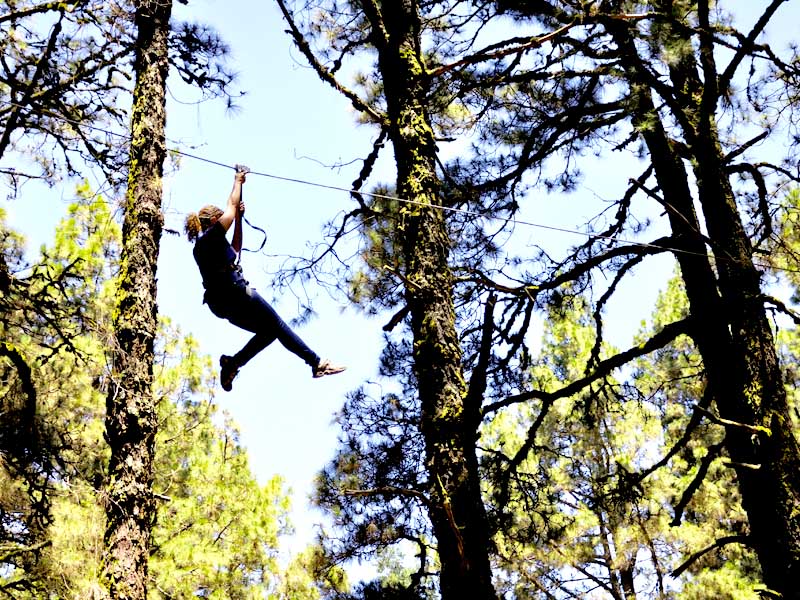 Forestal Park Tenerife | Excursiones Tenerife
