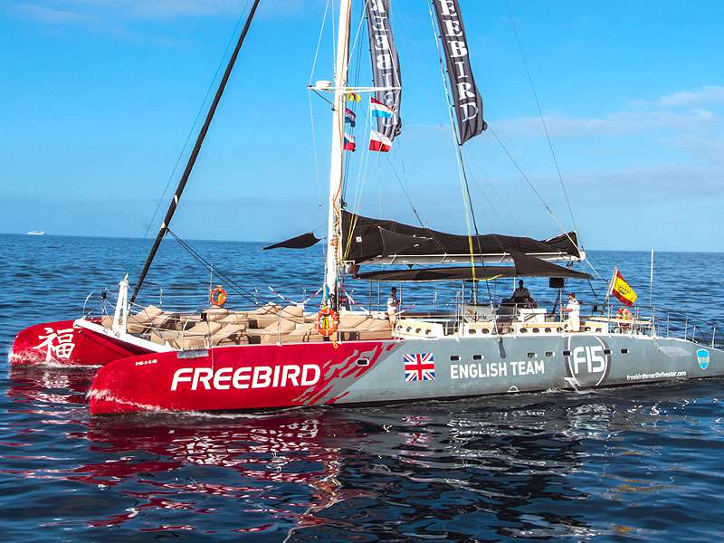 Catamarán FreeBird One Tenerife | Excursiones Tenerife